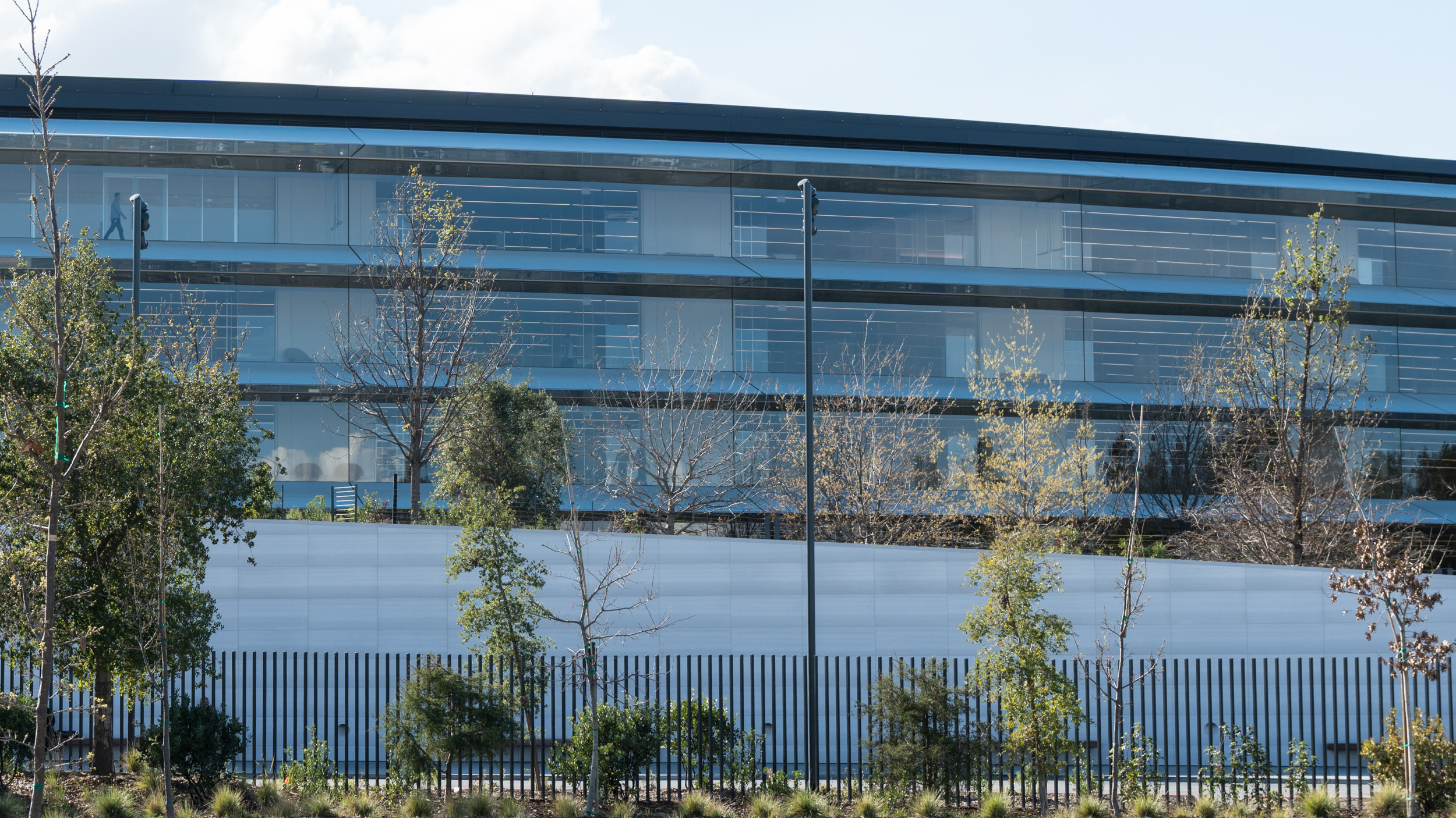 Art | Steve Stern's Fieldnotes from a Random Walk through Life (with ...