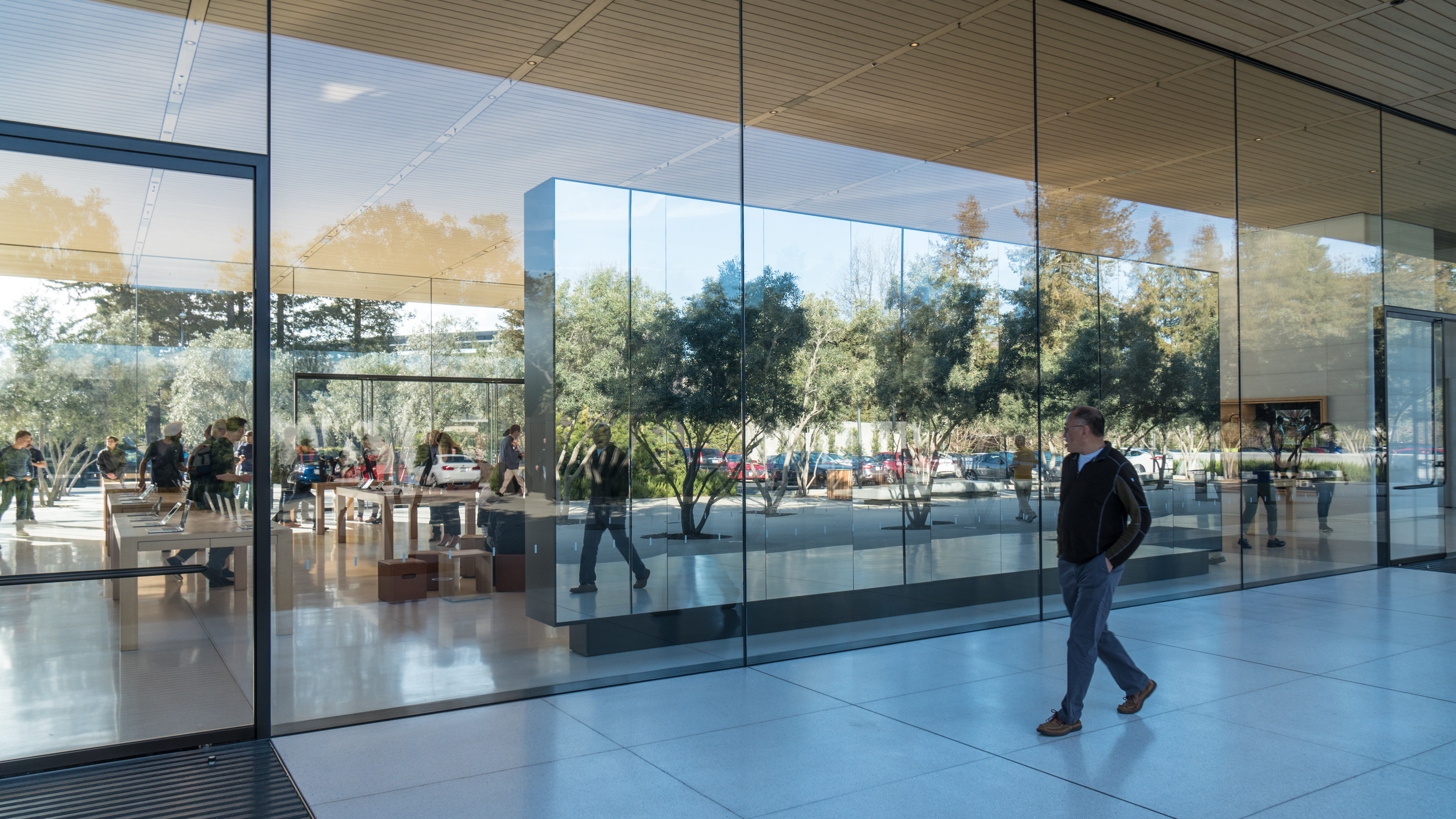 Art | Steve Stern's Fieldnotes from a Random Walk through Life (with ...