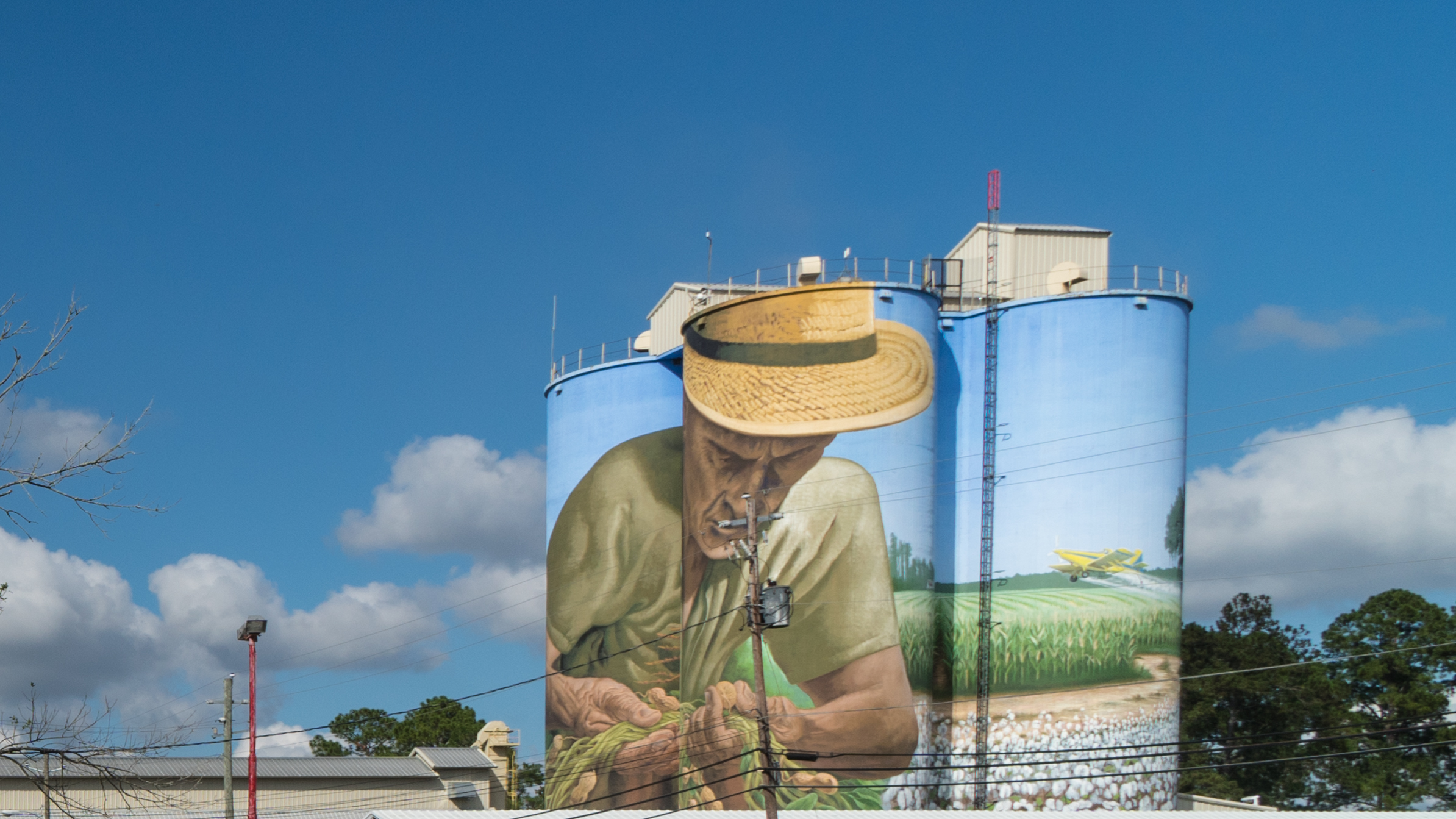 Psychological Musings | Steve Stern's Fieldnotes from a Random Walk ...