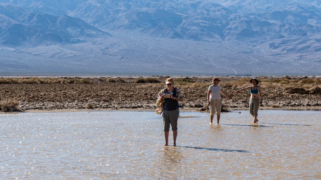 On the Way Out | Steve Stern's Fieldnotes from a Random Walk through ...