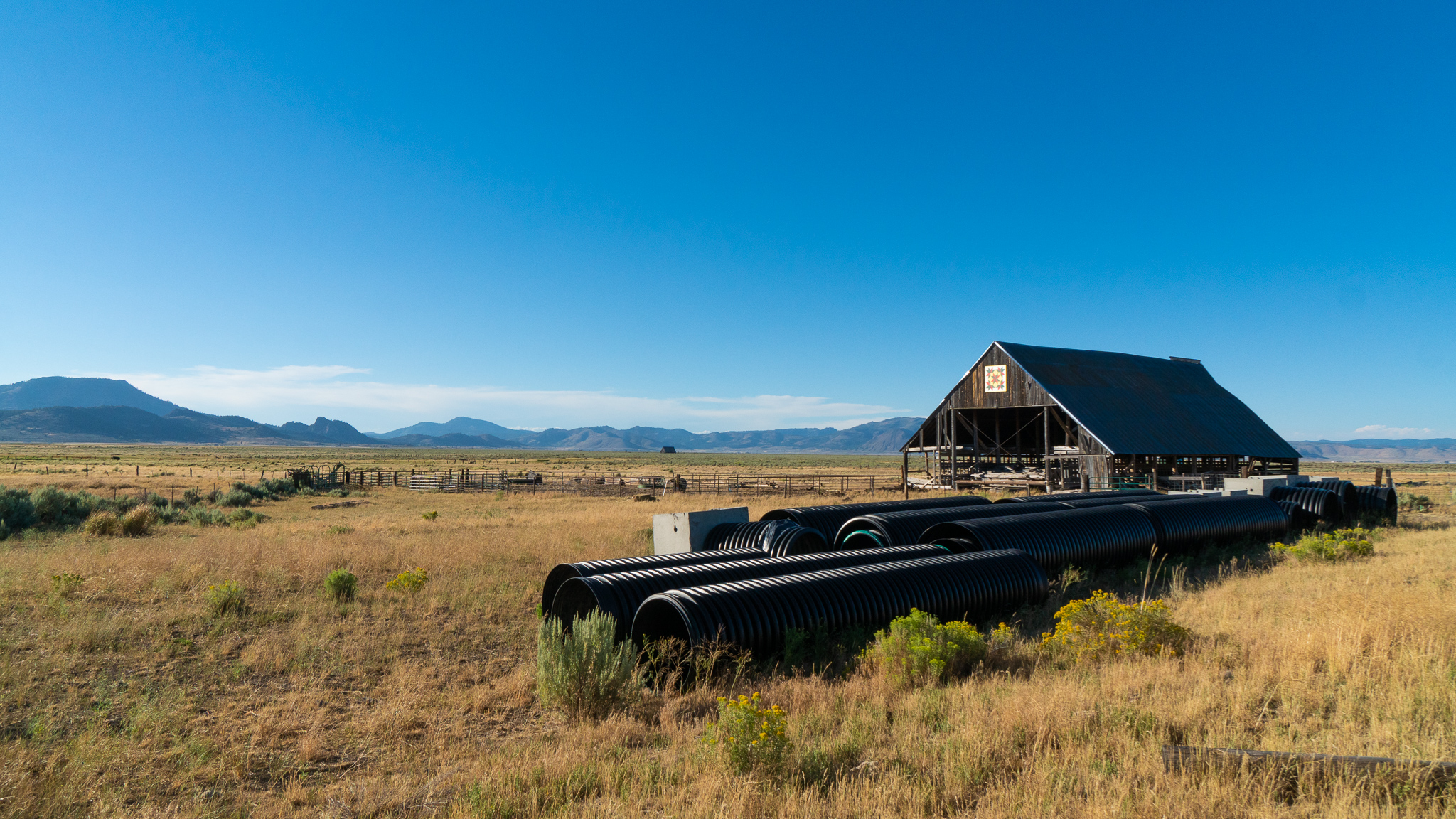 Walking Through Sierra Valley Preserve, Feeling Hopeful | Steve Stern's ...