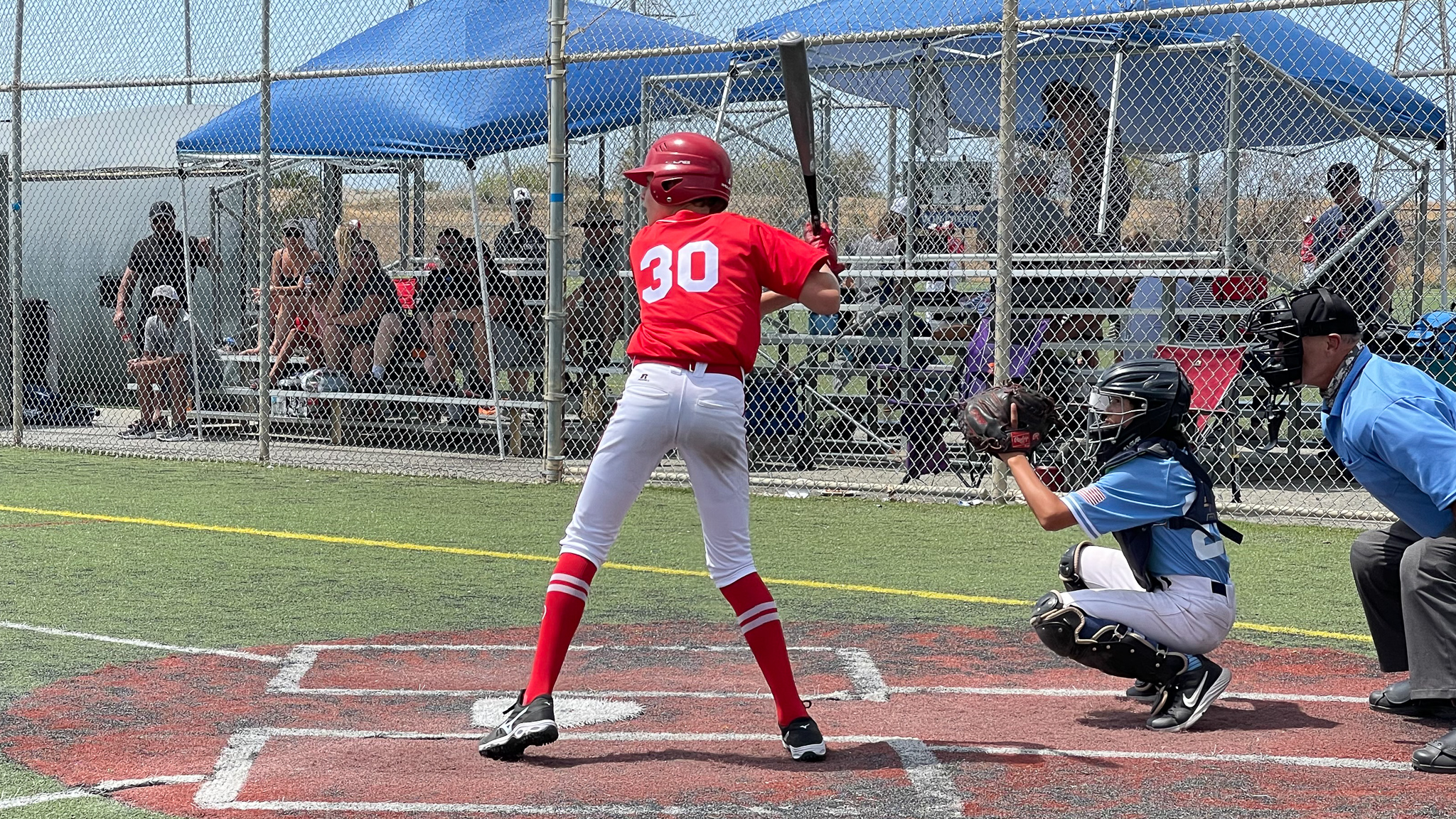 The Boys (& Girls) of Summer | Steve Stern's Fieldnotes from a Random ...