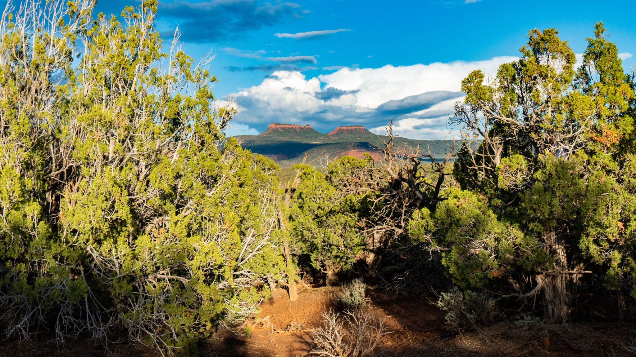 Bears Ears National Monument | Steve Stern's Fieldnotes from a Random ...