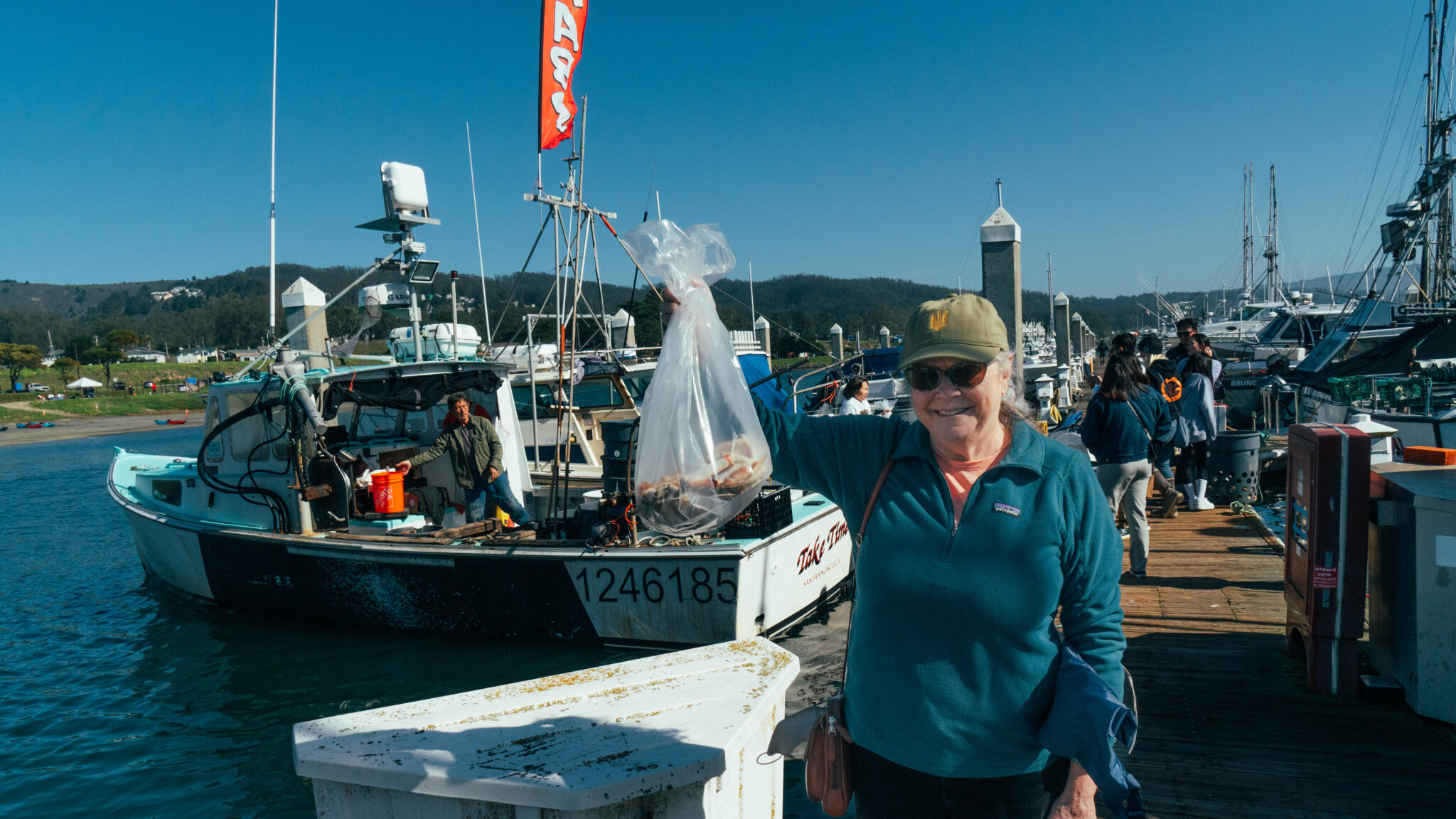 Steve Stern's Fieldnotes from a Random Walk through Life (with pictures)