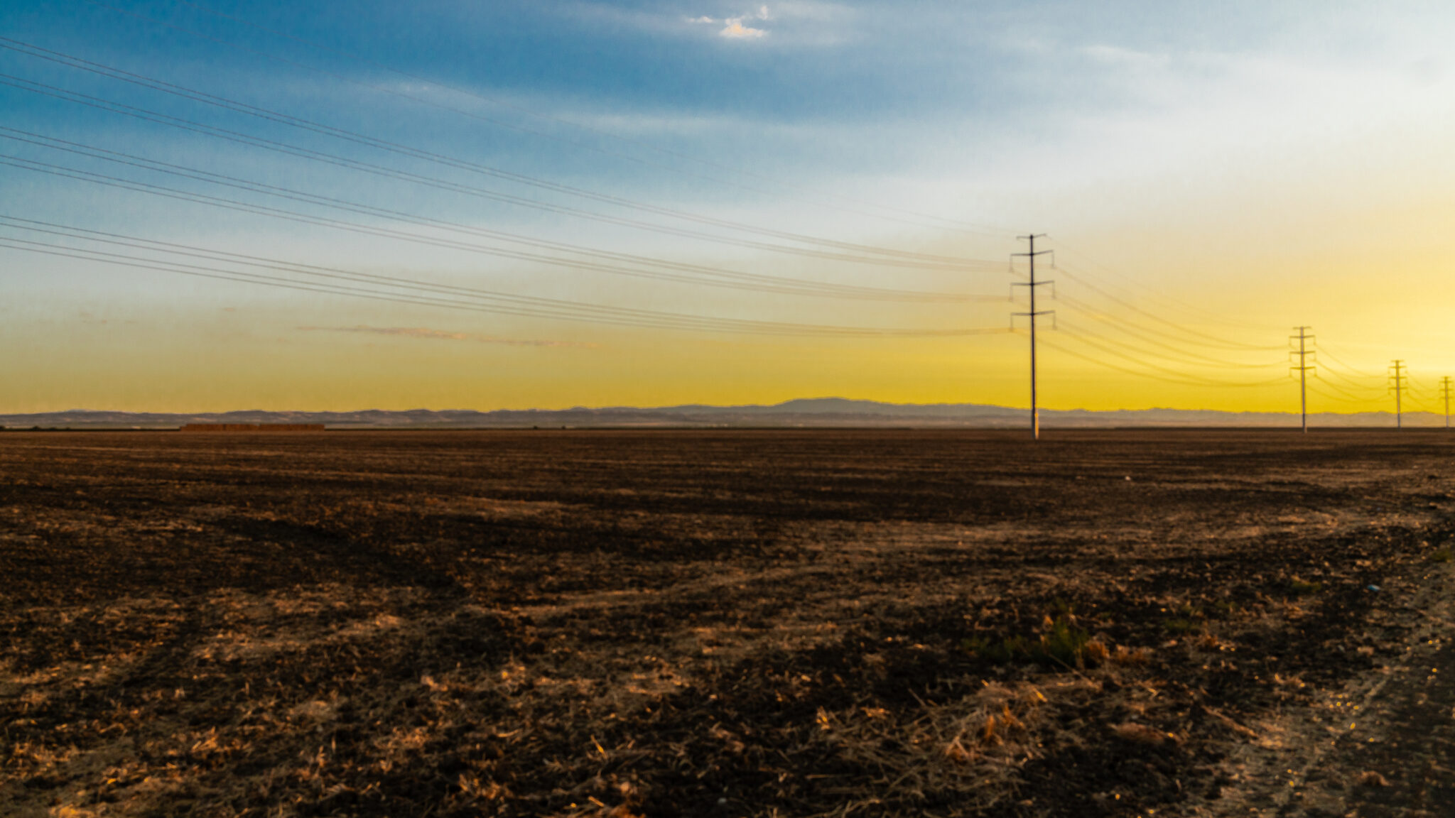 An Alleged Field & An Old Field | Steve Stern's Fieldnotes from a ...