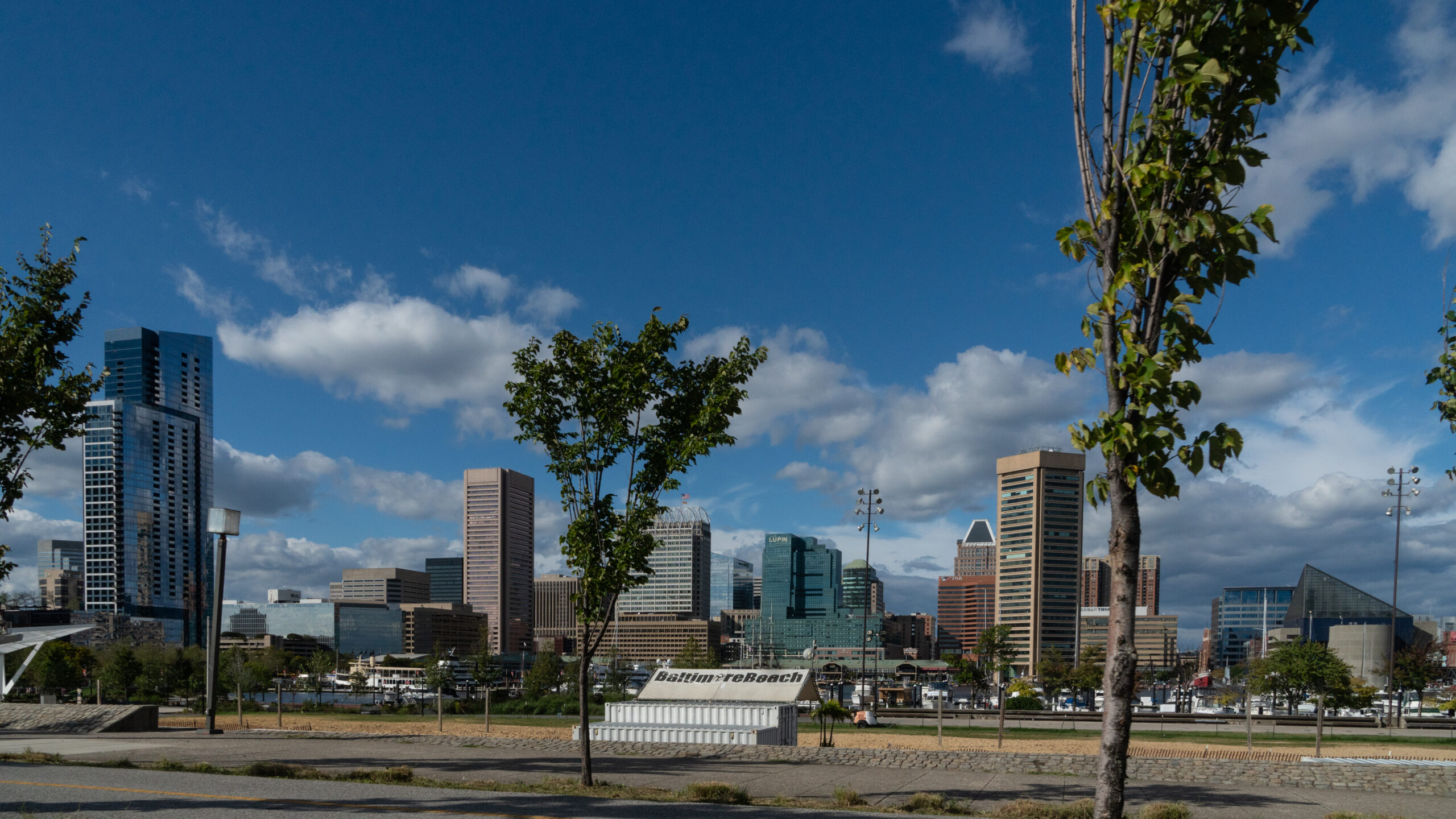 Still On The Road | Steve Stern's Fieldnotes from a Random Walk through ...